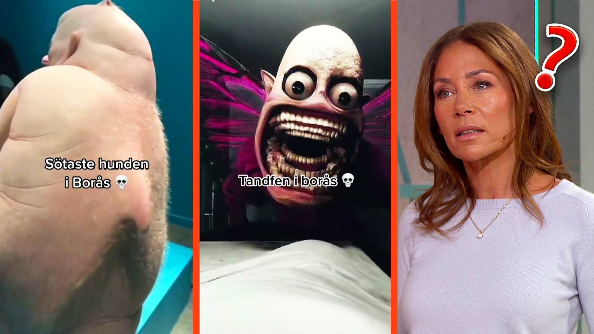 Bisarra hattrenden: Så häcklas Borås på Tik tok