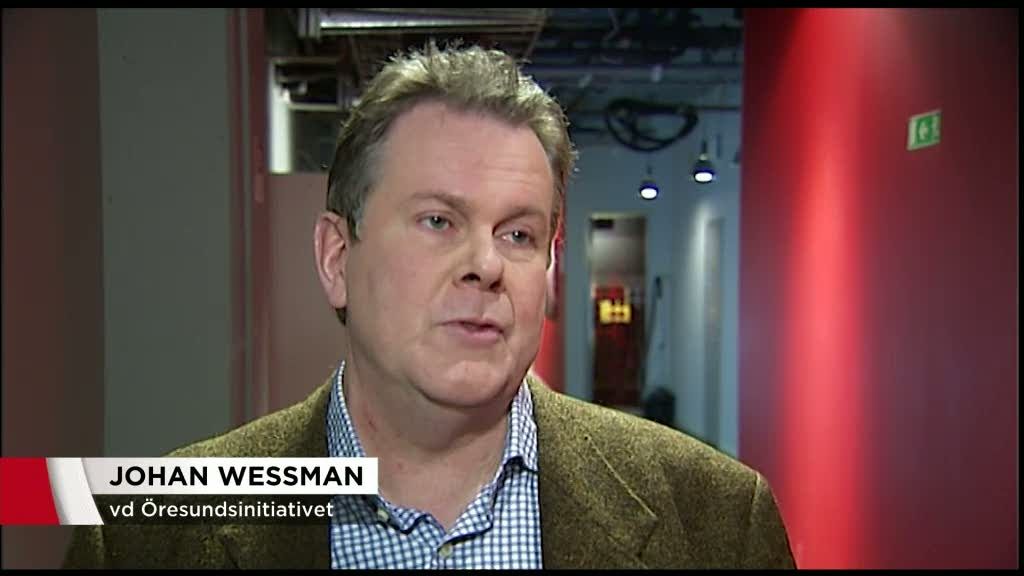 Johan Wessman, vd Öresundsinstitutet: "Det är många timma...