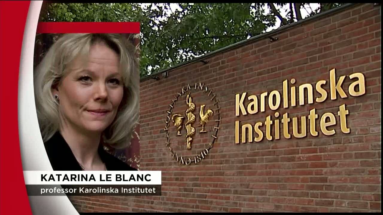 Ki slår ifrån sig kritiken Ki slår ifrån sig kritiken