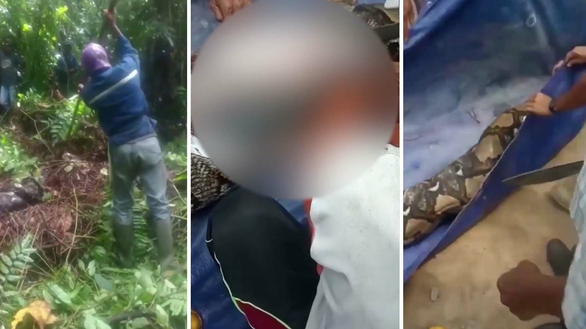 Kvinna slukad hel av pytonorm i Indonesien