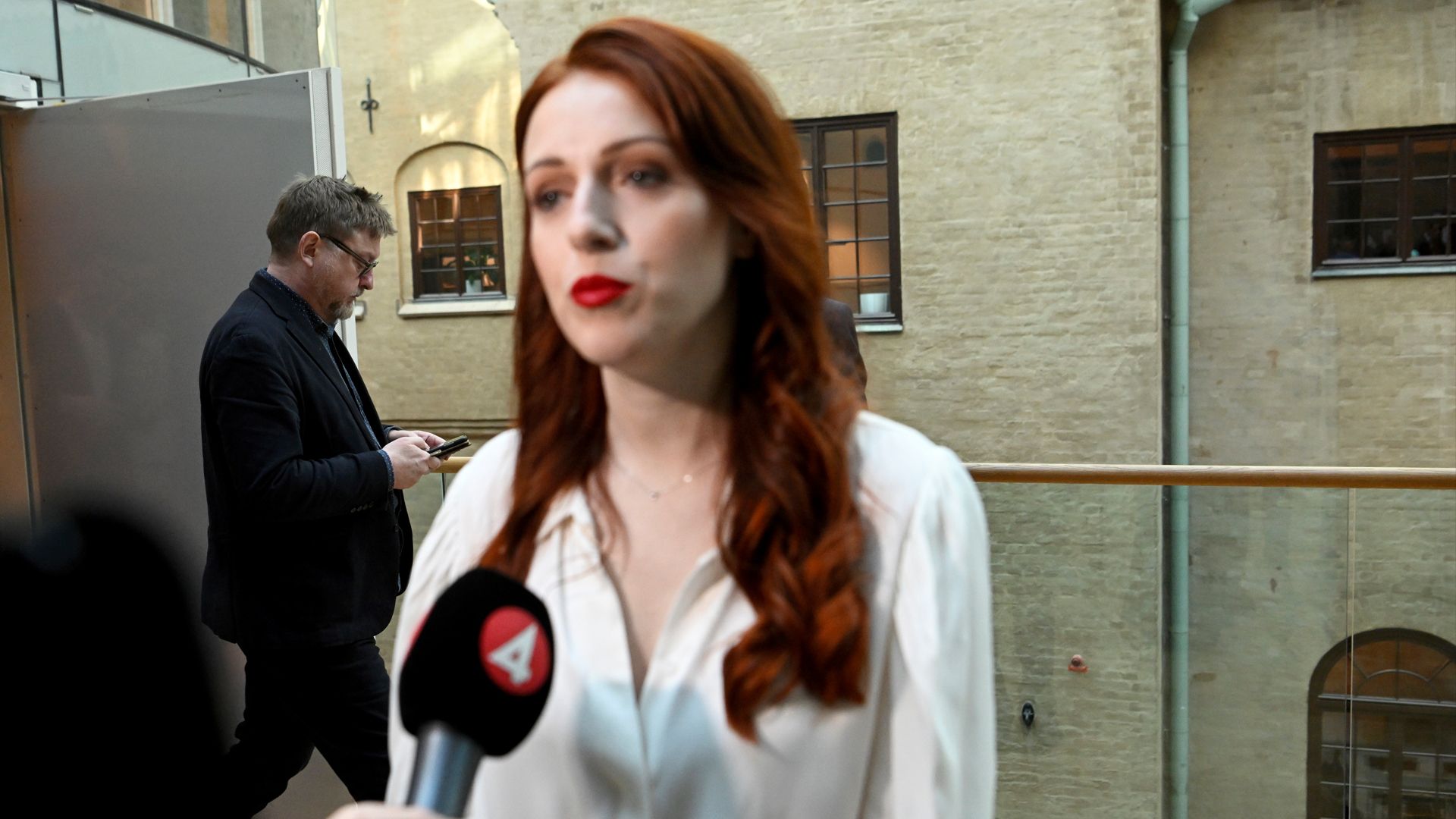 Hovrätten fäller Cissi Wallin för grovt förtal