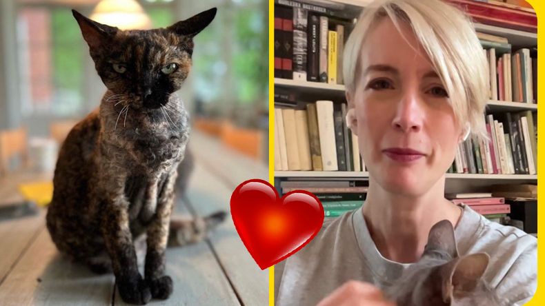 Jenny Strömstedts katt Kerstin har gått bort