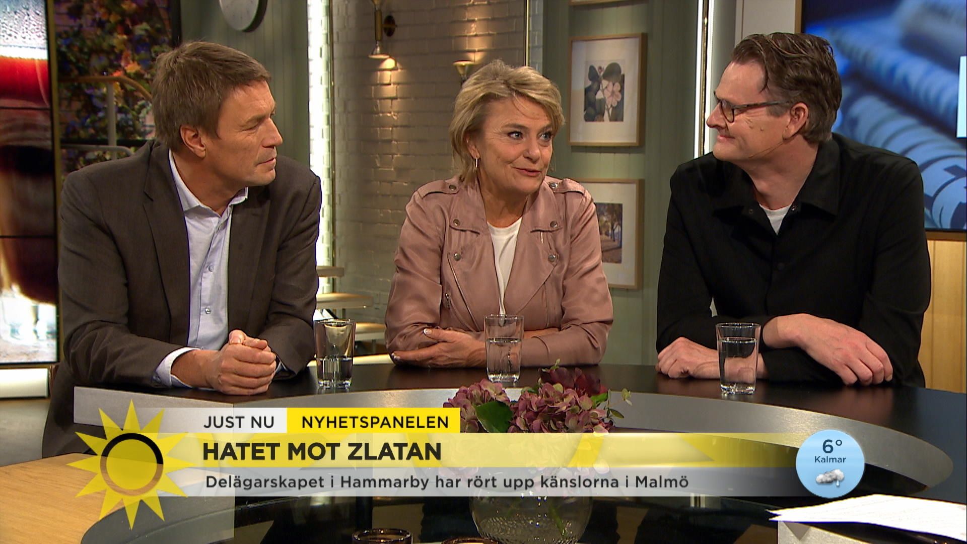 Eva Hamilton om Zlatanhatet: ”Det är huliganism"