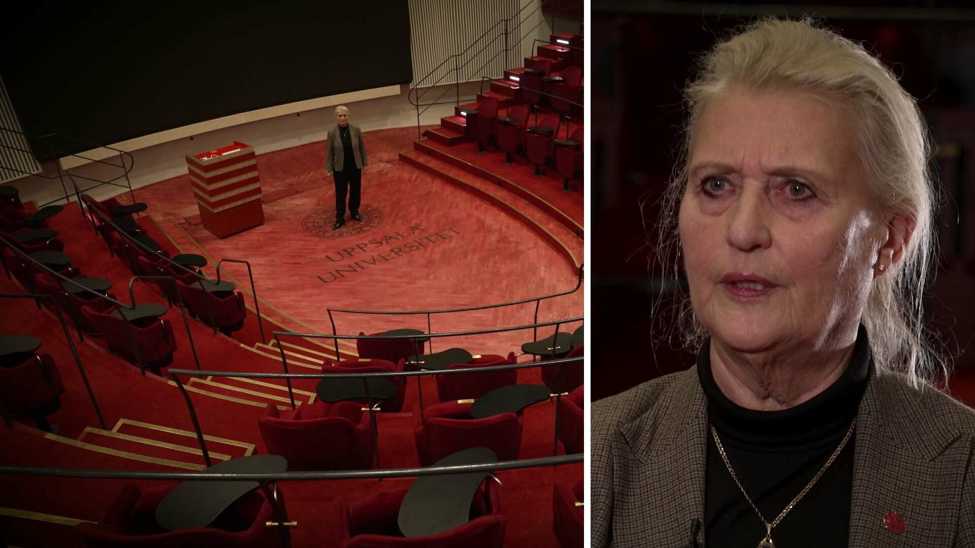 Inga-Lill sa ”n-ordet” på seminarium – anmäldes av eleverna