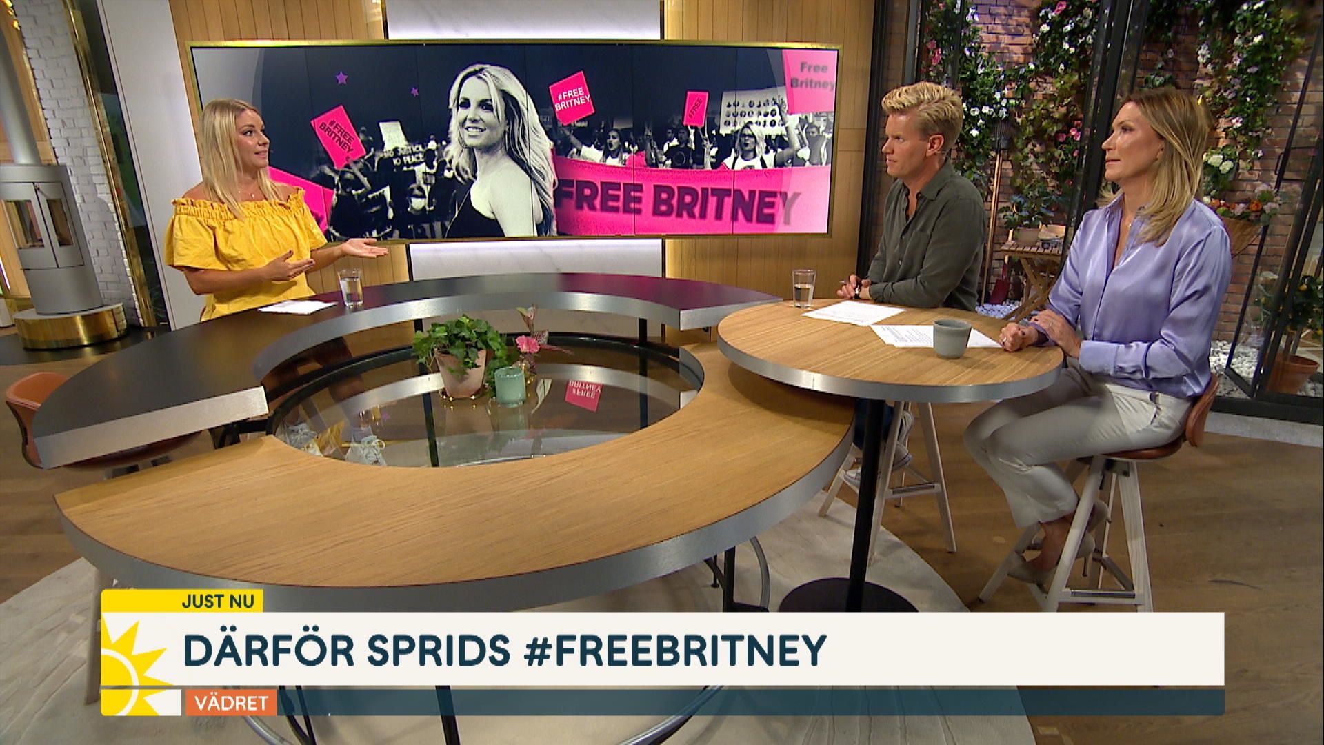 Britney Spears-fansens oro: "Hon behöver hjälp"