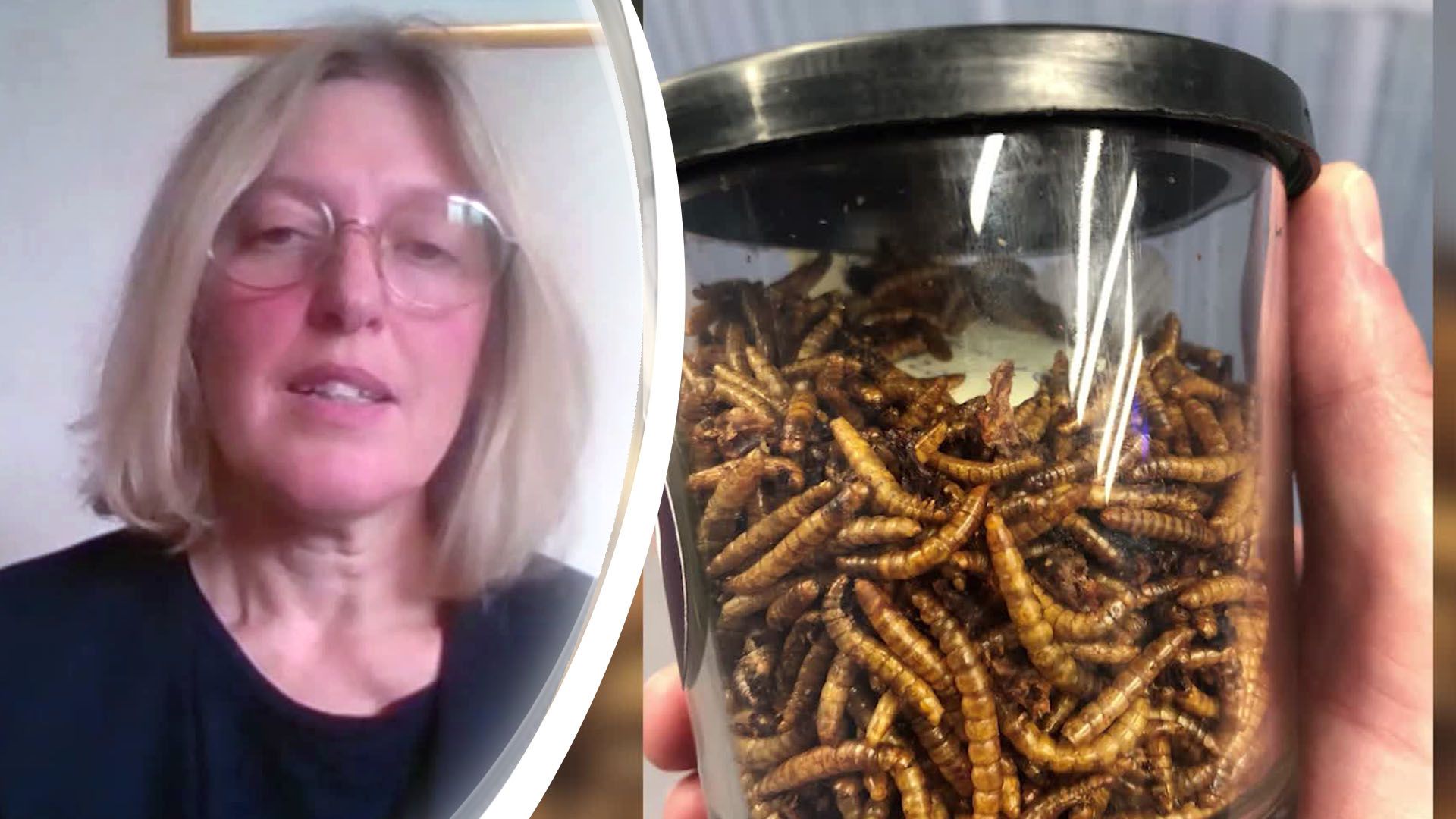 Snart säljs insekter som mat