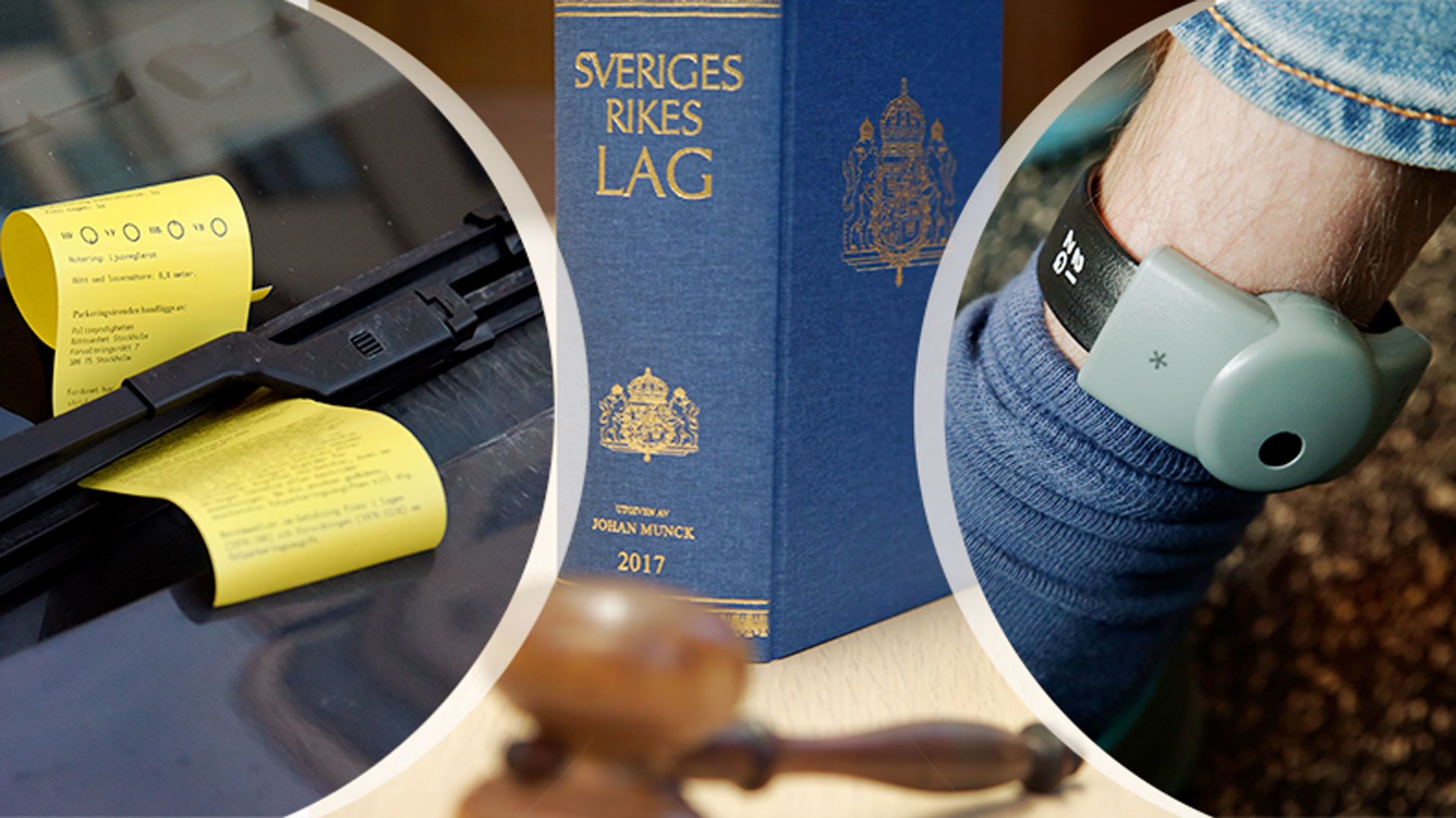 Här är de nya lagarna att hålla koll på 2021