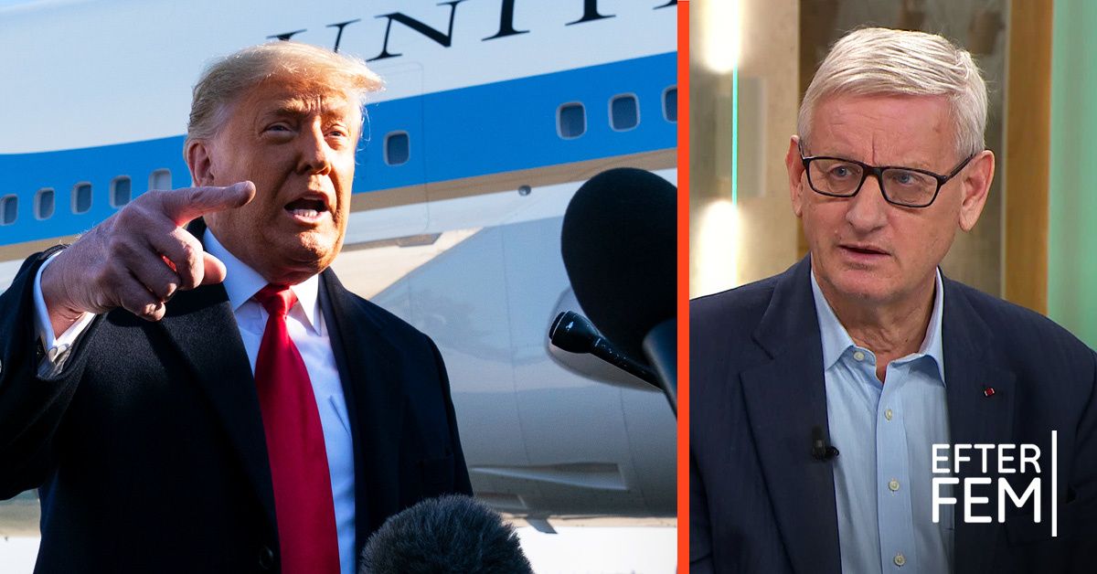 Carl Bildt: ”Donald Trump klanledare för en militant grupp”