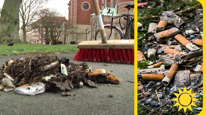 En miljard fimpar slängs varje år: "Plasten ligger alltid...