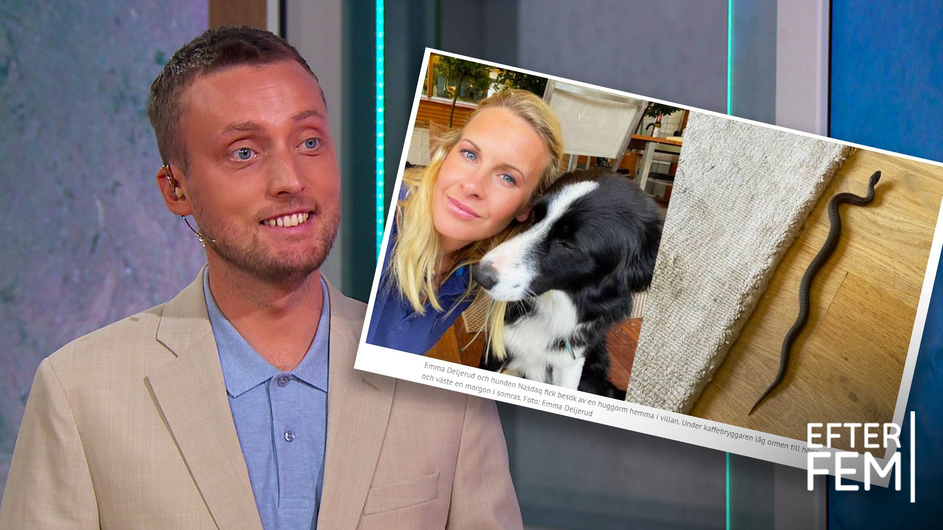 Hittade orm under kaffebryggaren: ”Fick panik”