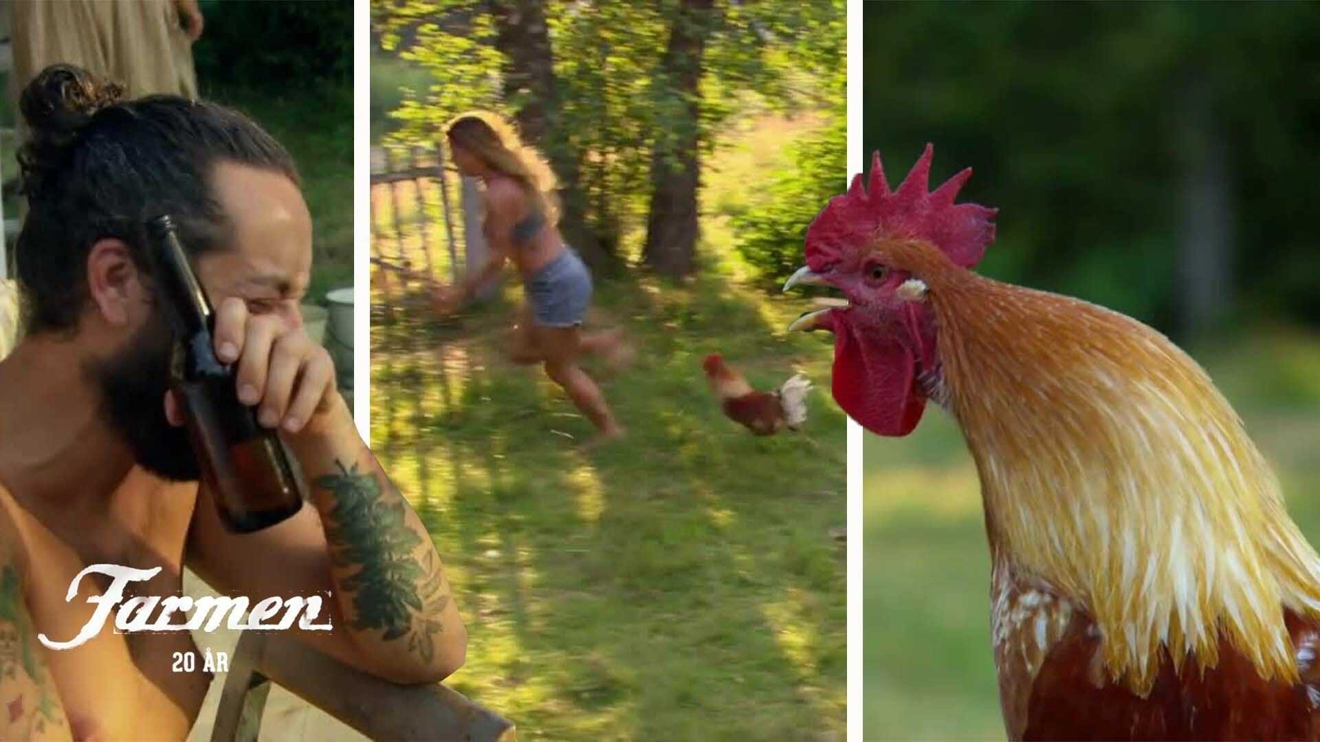 Arga tuppen går till attack mot Jennifer i Farmen