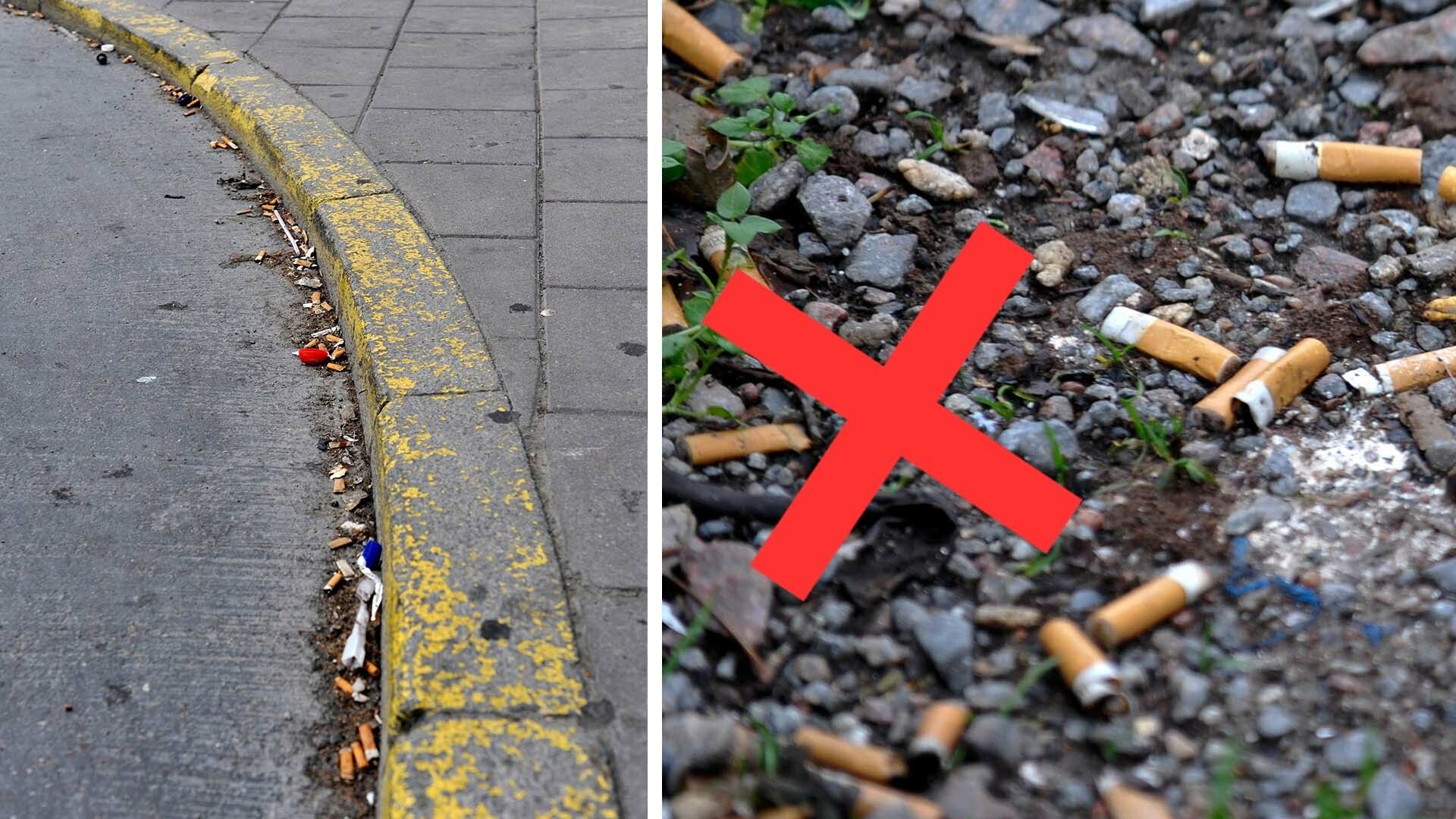 Böter om du fimpar i naturen