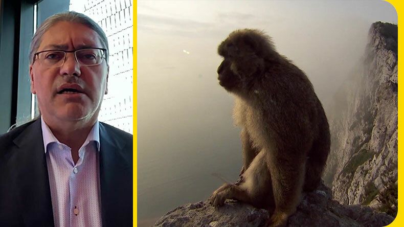 Ovanliga virussjukdomen apkoppor upptäckt i Sverige