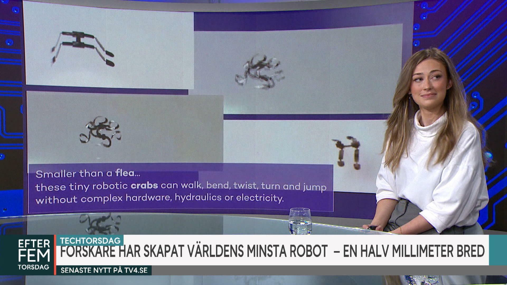 Här är världens minsta robot: ”Mindre än en liten loppa”