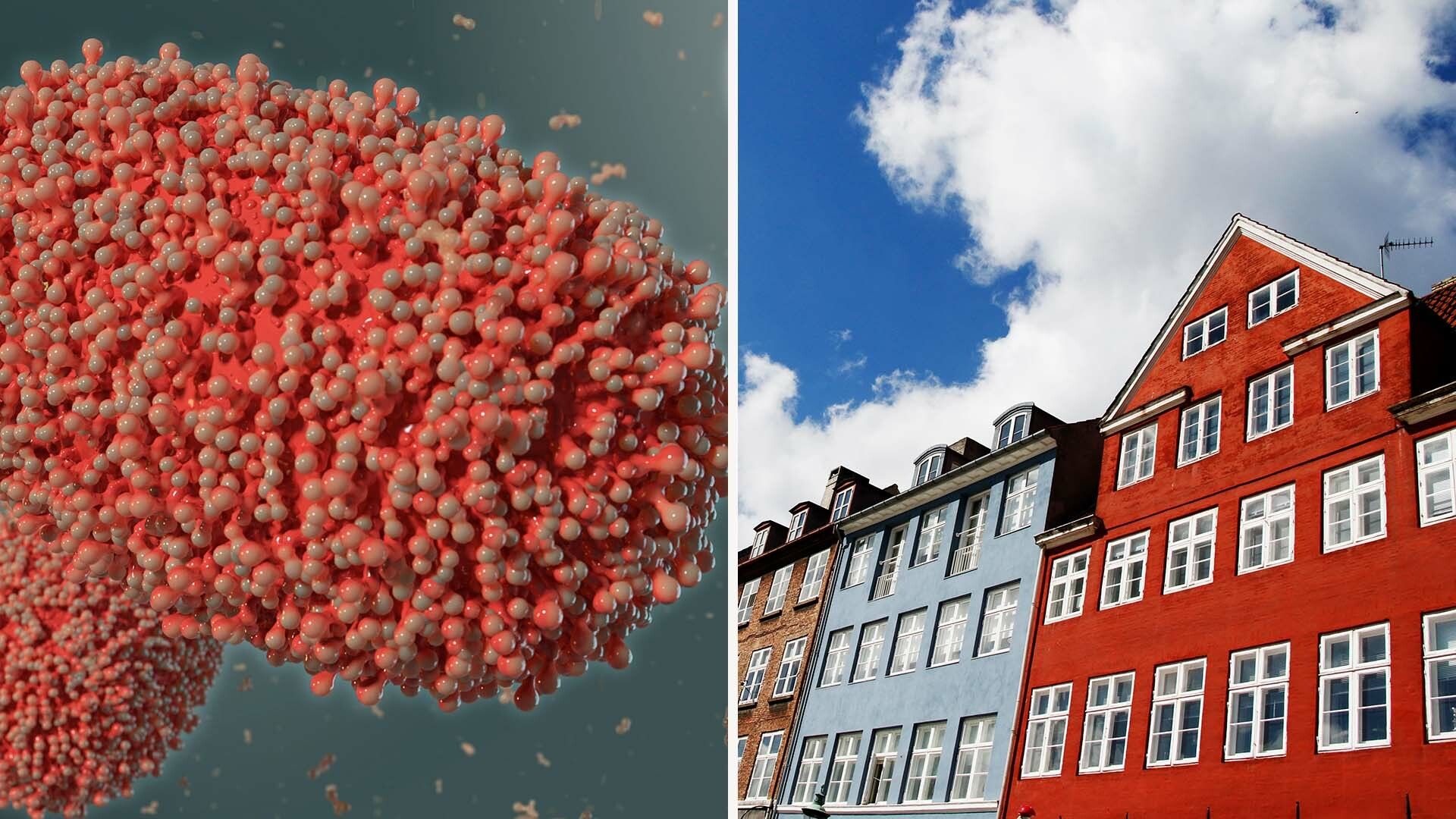 Apkoppor: Danmark byter strategi