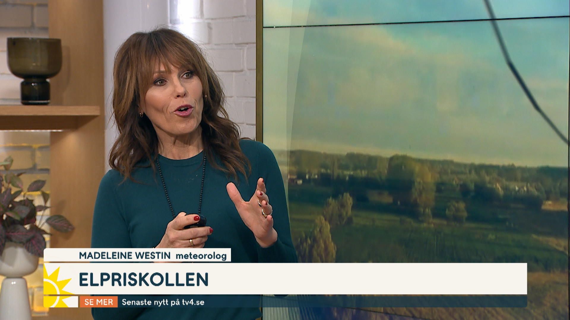 Väder-Madde: Så blir veckans elpriser