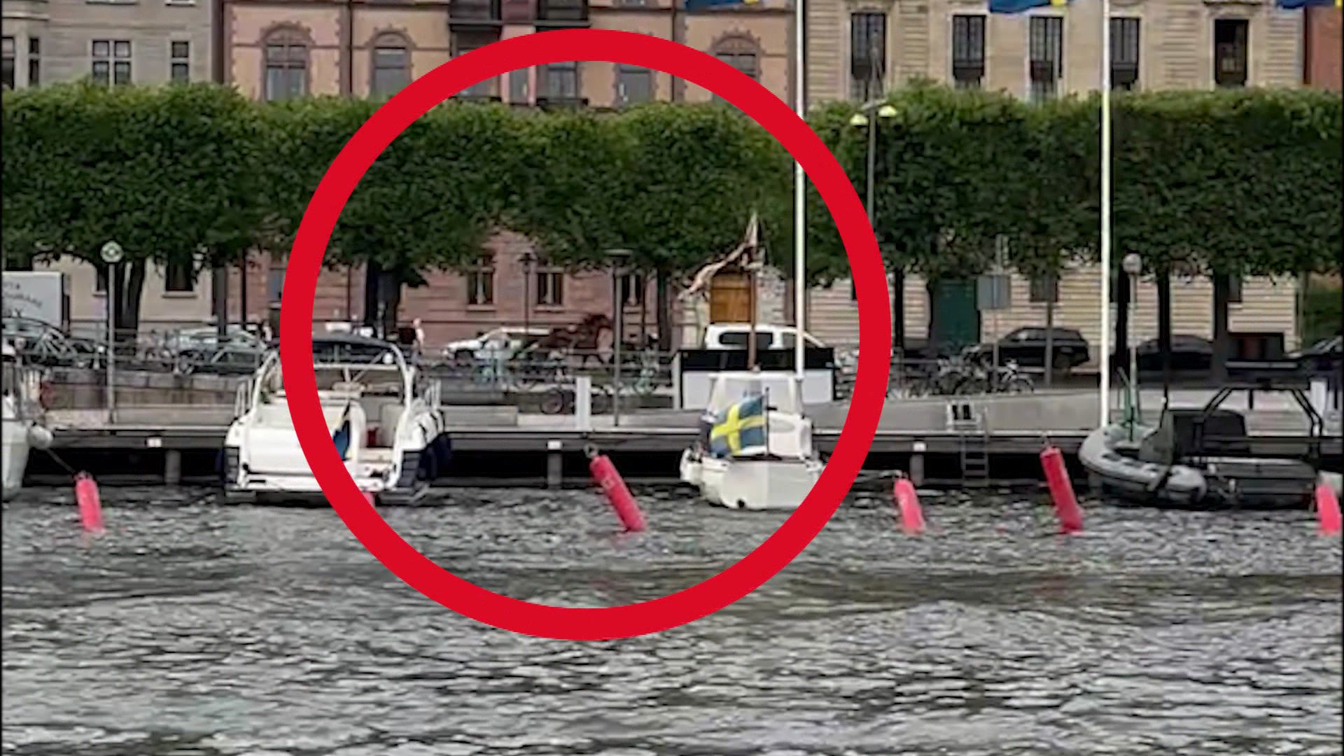 Se filmen: Här skenar hästarna i full fart från Djurgården