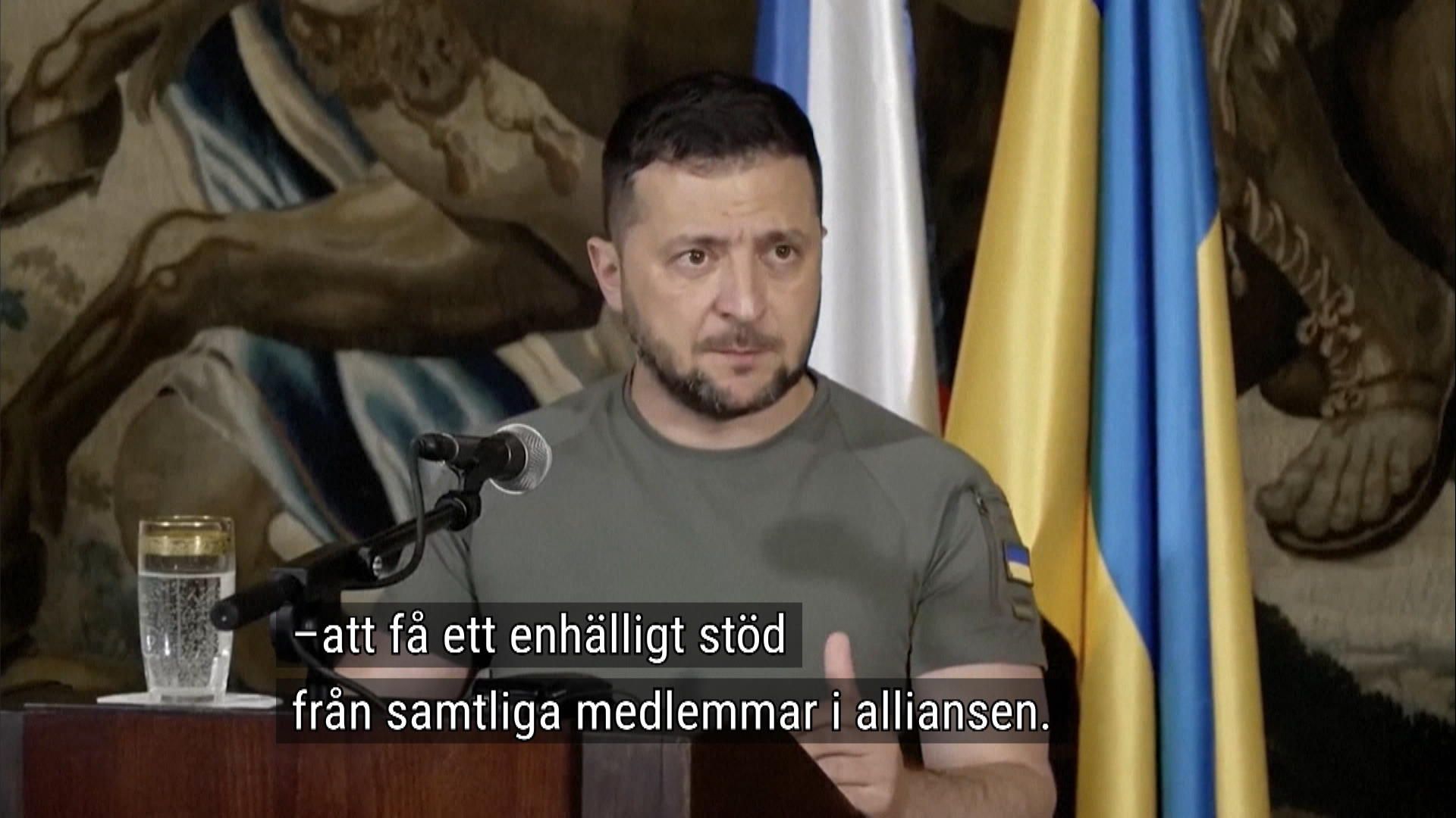 Zelenskyj: Dags för Ukraina att bjudas in till Nato