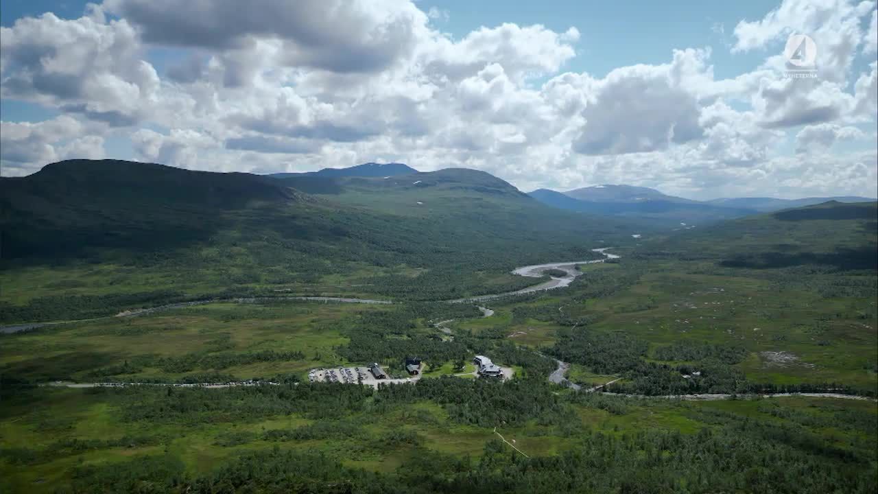 Trädgränsen kryper uppåt – förflyttat sig 240 meter