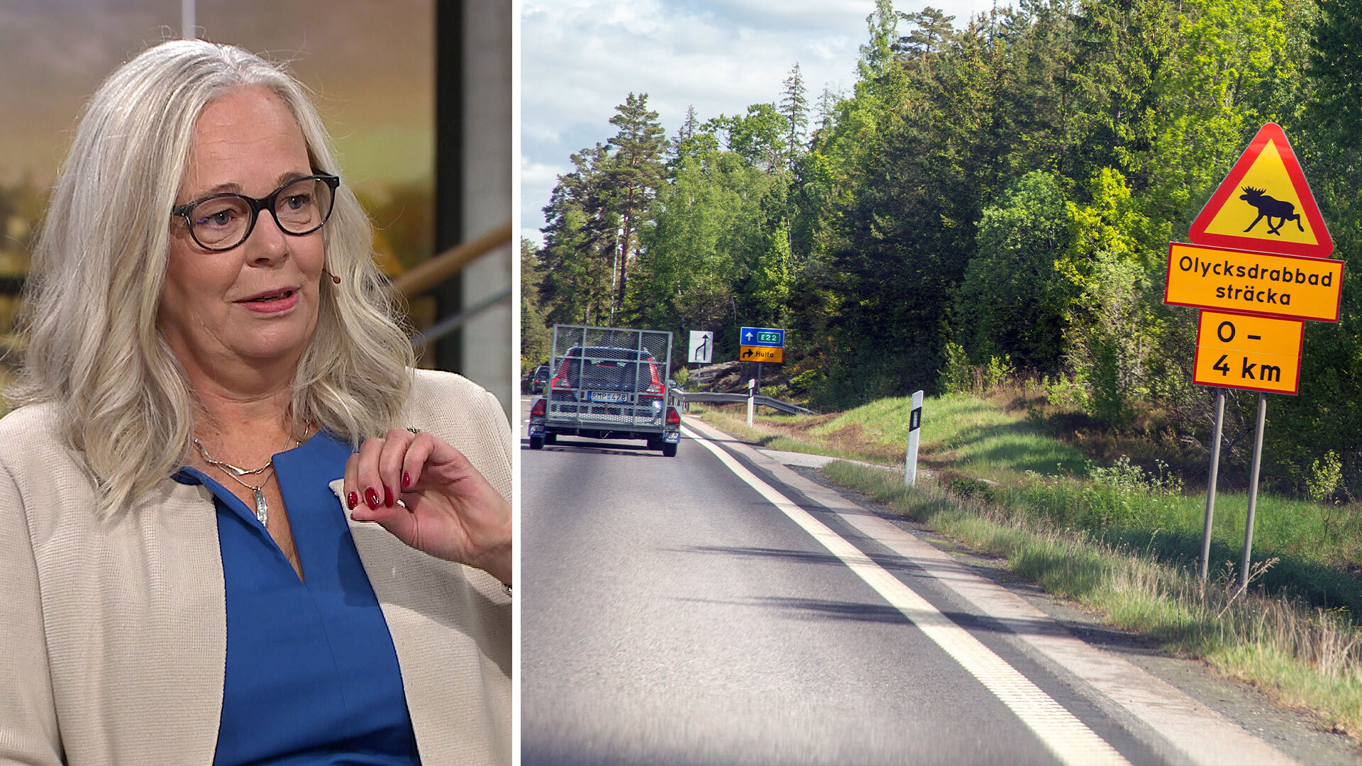 Så Ska Du Agera Vid En Viltolycka