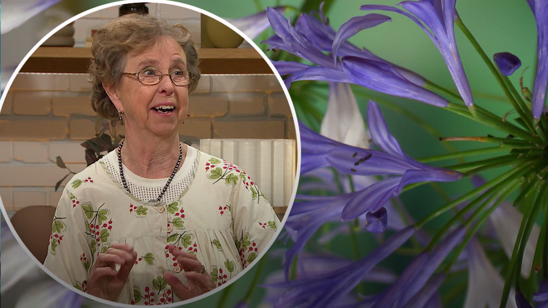 Maj-Lis proppar garaget fullt av växter inför vintern