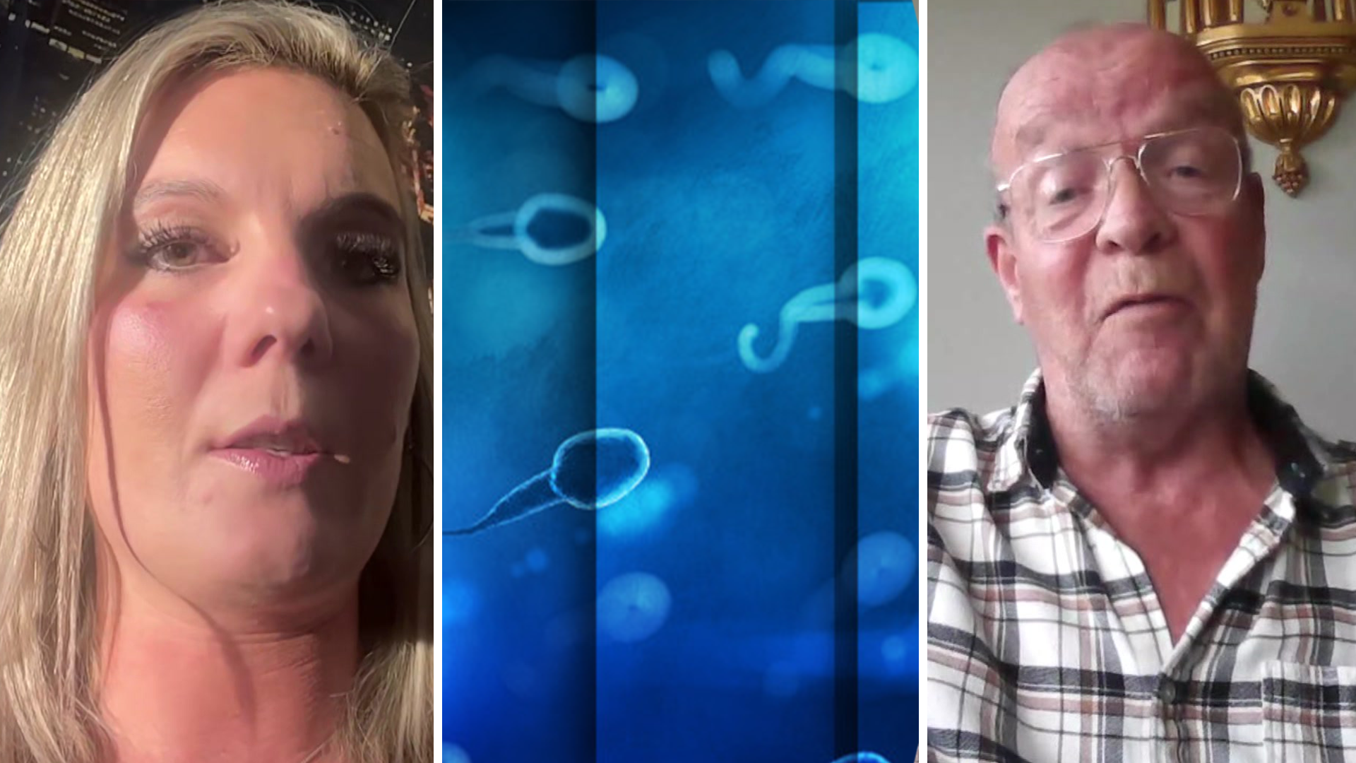 Spermaskandalen i Halland: Emelie blev till genom stulna ...