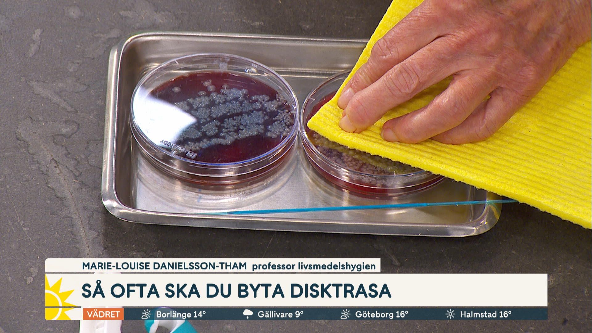 Det ska du aldrig torka med en disktrasa