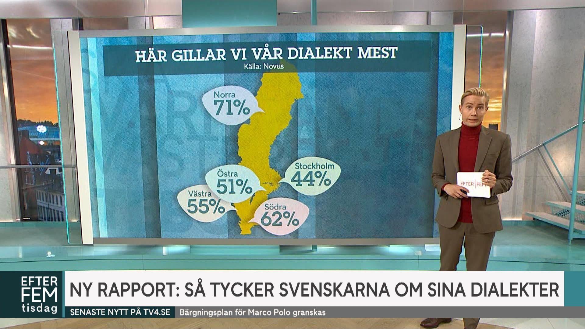 Ny rapport: Så tycker svenskarna om sina dialekter