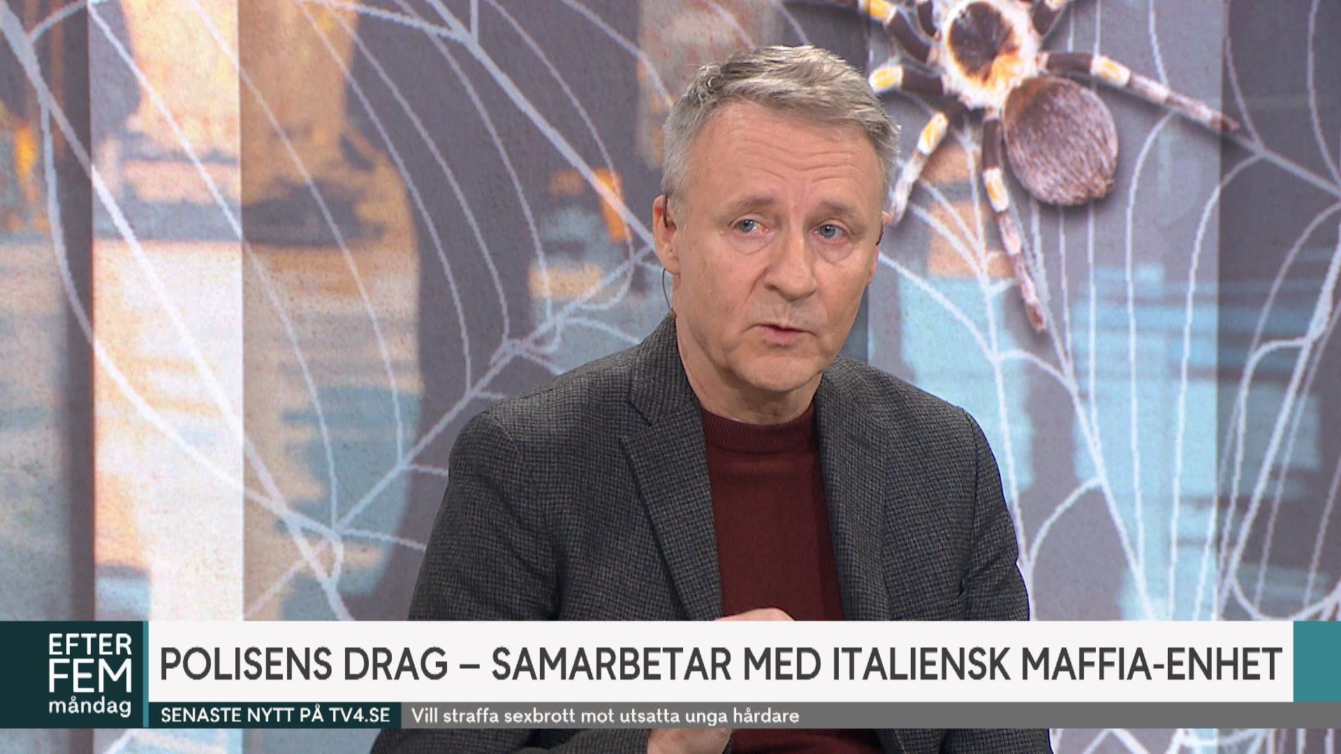 Så bekämpas maffian av den italienska polisen