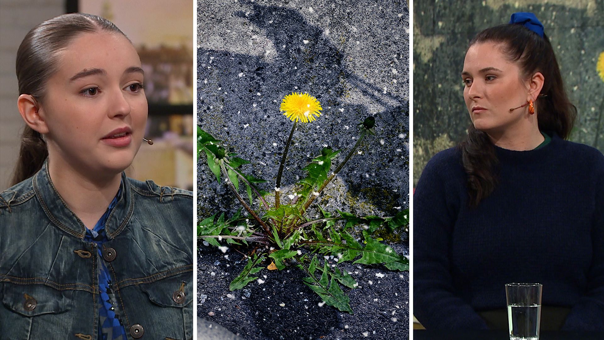 Maskrosbarn om att unga mår sämre