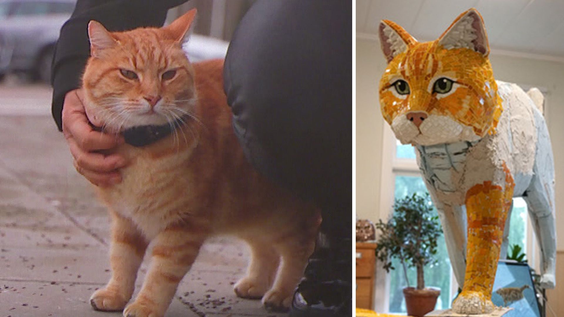 Kändiskatten Luffar-Lasse från Trollhättan blir staty