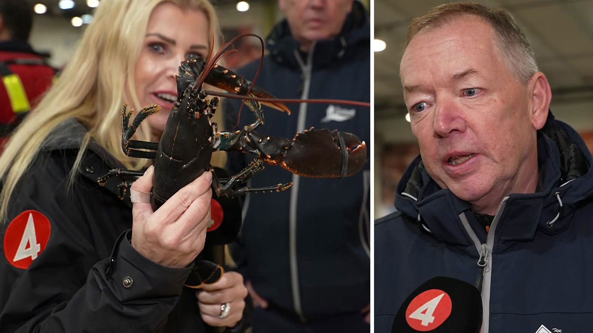 Så dyr blev årets första hummer