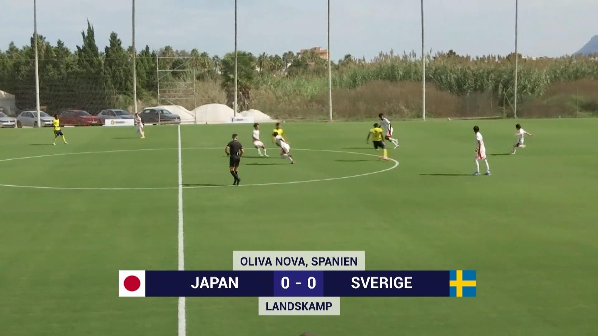 Höjdpunkter: Japan - Sverige - fotbollskanalen.se
