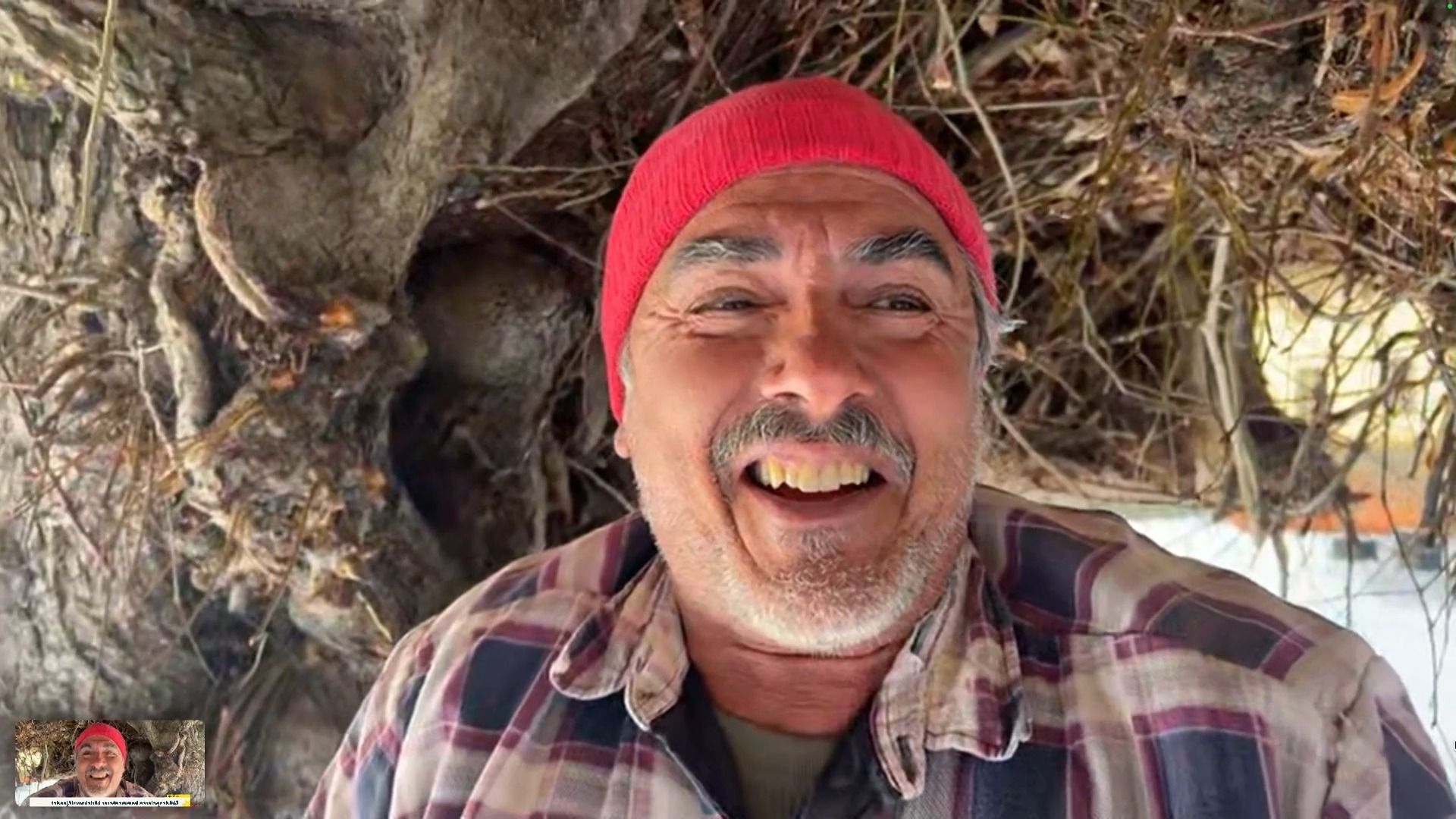 Rafael Edholm kommenterar Coolidges kärleksavslöjande