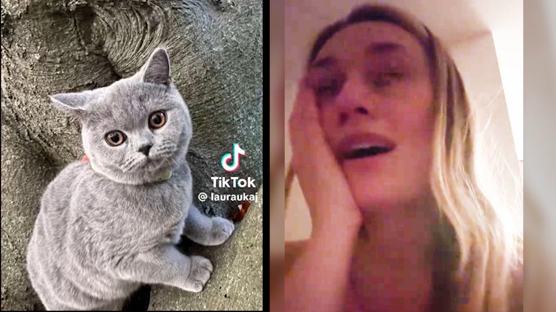 Influencerns katt försvann – hittades efter viralt klipp