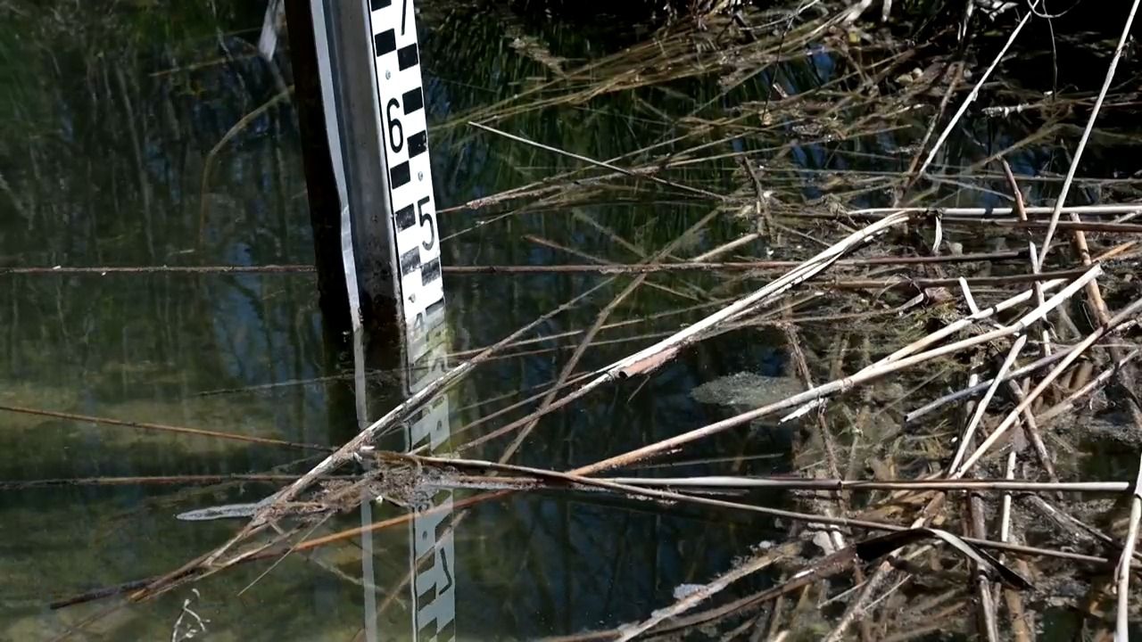 Efter den torra våren: ”En tuff sommar väntar på Gotland”